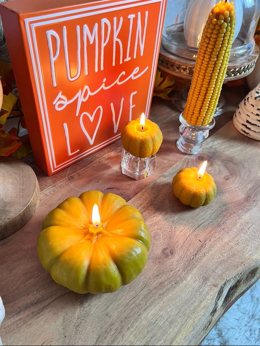 Beeswax Pumpkin Candle – Sweet Cindy's Honey